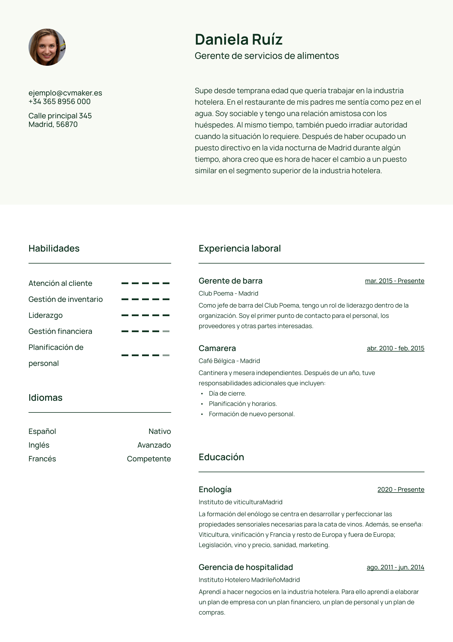 Plantillas Cv Profesional Plantillas De Curriculum Vitae